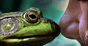 The Odd Truth, May 7, 2003 - CBS News