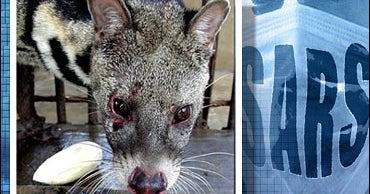 Cross-Species Diseases Eyed - CBS News