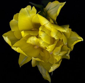 Katinka Matson Image Gallery