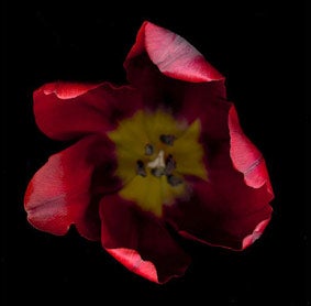 Katinka Matson Image Gallery