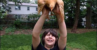 Barnyard Chic: Fowl Friends - CBS News