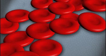 Stem Cells Used To Make Red Blood Cells - CBS News
