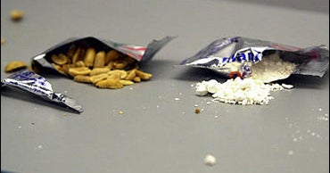 The Odd Truth, Oct. 31, 2003 - CBS News