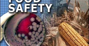 When In Doubt ,Throw It Out - CBS News