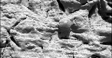 Mars Once A 'Habitable' Planet - CBS News