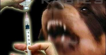 Rabies Vaccine Recalled - CBS News
