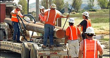 Fuel Spill Fouls San Fran Marsh - CBS News