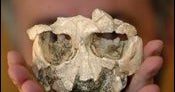 Could This Fossil Be Missing Link? - CBS News