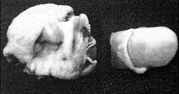 Chili Finger Origin A Mystery - CBS News