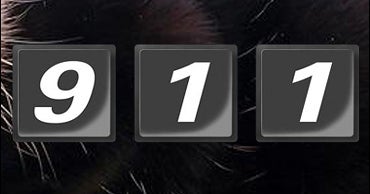 Man Says Cat Called 911 - CBS News