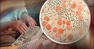 Garcia Wins Georgia Cup - CBS News