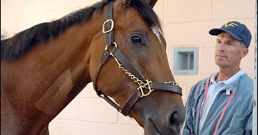 Barbaro Doing 'Much Better' - CBS News