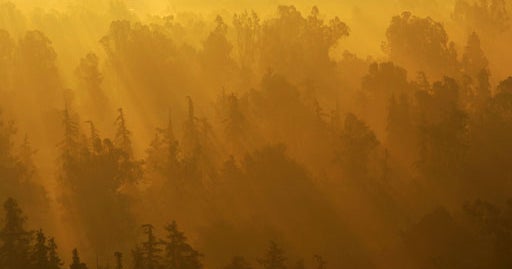 Swingley Wins Iditarod - CBS News