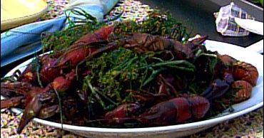 Crayfish Takeover - CBS News