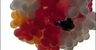 Priest On Party Balloon Flight Missing - CBS News