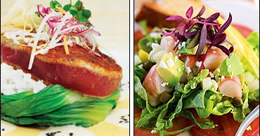"Hawaiian Fusion" Dishes -- Flame-Free! - CBS News