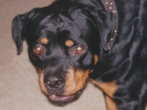 Crime scene photos: River's Edge