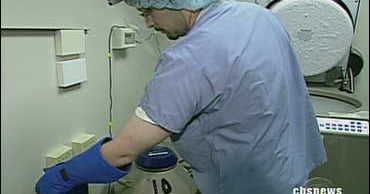 Stem Cells and Torture - CBS News