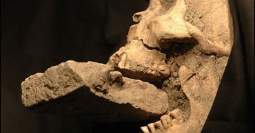 Remains Of "Vampire" Found Near Venice - CBS News