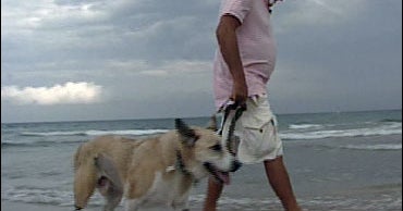 Pooch Gets Hi-Tech Prosthetic - CBS News