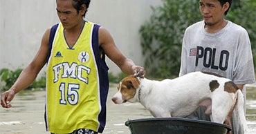 Best Digitized Actor? - CBS News