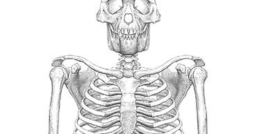 Evolution Breakthrough Challenged - CBS News