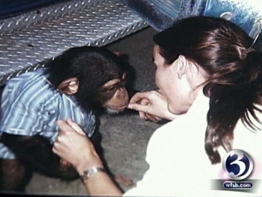 Chimp Victim Charla Nash