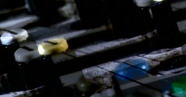 Extra: Police call Marjorie Orbin - CBS News