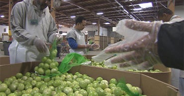 Fighting hunger in a land of plenty - CBS News