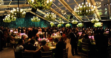 Scenes from the State Dinner