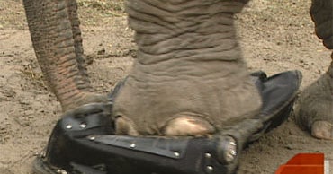 Debate Over Dean - CBS News