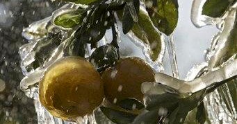 Kobe Bryant sexual assault accuser reveals identity - CBS News