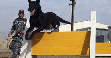 U.S. Speeds "Dogs of War" to Iraq - CBS News