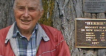 Two Old Friends, A Man and a Tree - CBS News