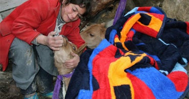 Turkish Quake Survivors Cold, Homeless - CBS News