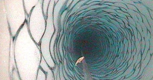 NASA Finds Shrimp Beneath Antarctica Ice - CBS News