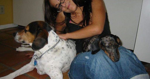 Peter Dabish, Powerhouse Gym Heir, Ordered Held Without Bond in Friend ...