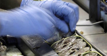 Bashing The Bush Bashers - CBS News