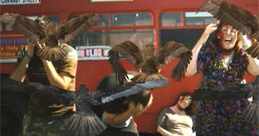 A Cult Movie Classic That's for the Birds - CBS News