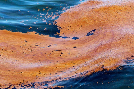 Oil Spill: 100 Days, 100 Photos