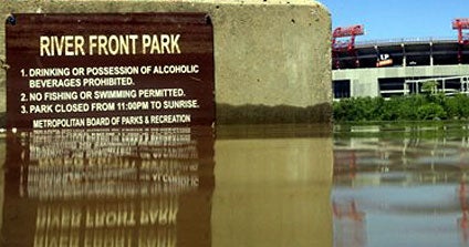 'Designer Mutts' - CBS News