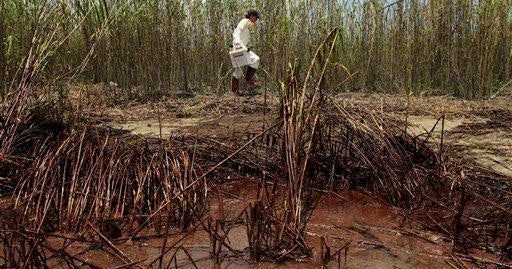 Two Die In Atlanta Plane Crash - CBS News