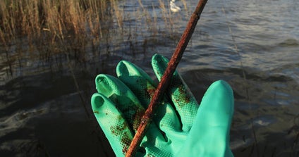 Crash Survivor Relives Escape - CBS News