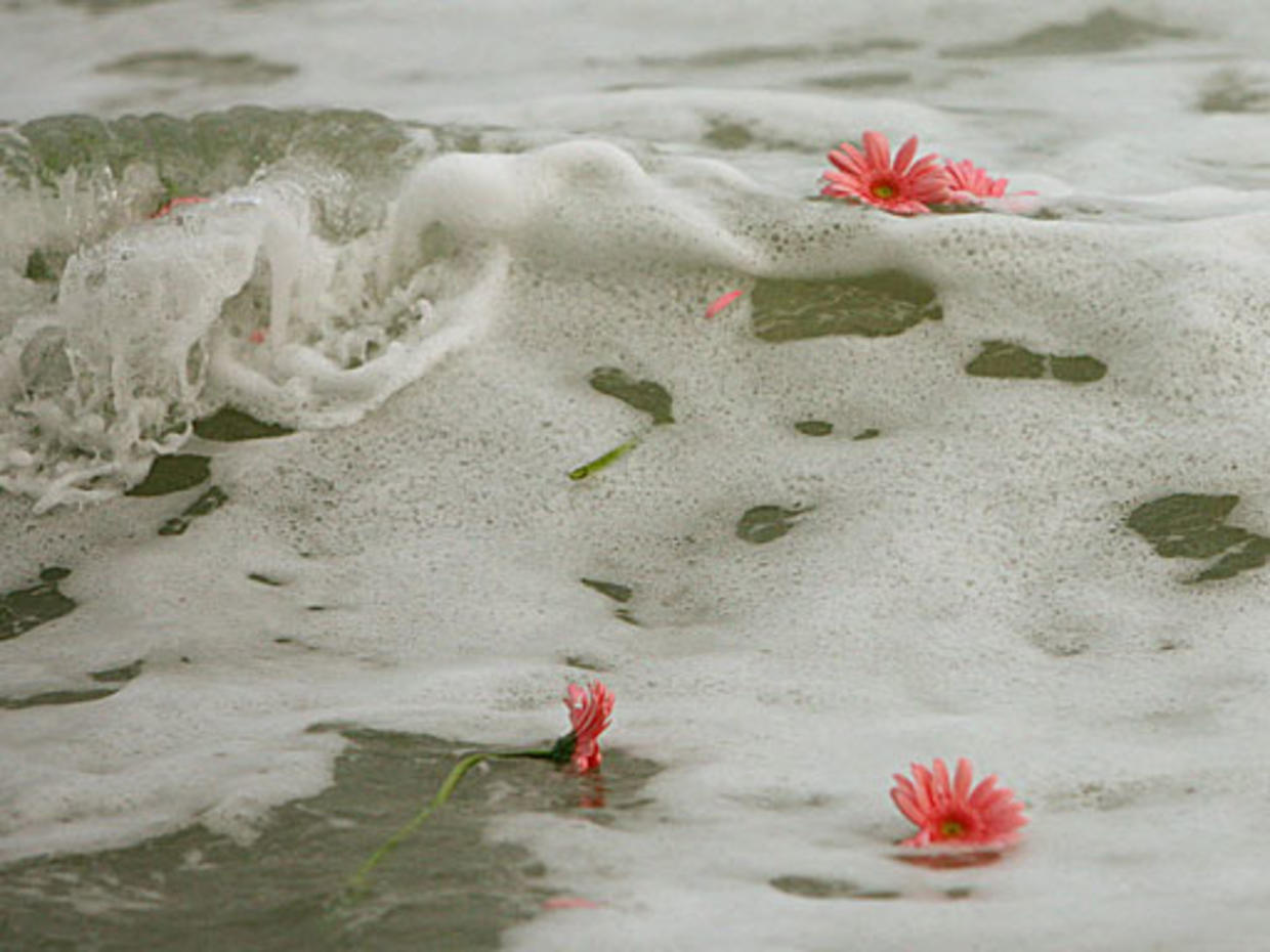 Angel Downs Murdered; Stephen Nodine Accused