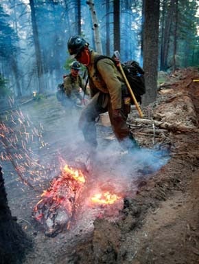 Arizona Wildfire