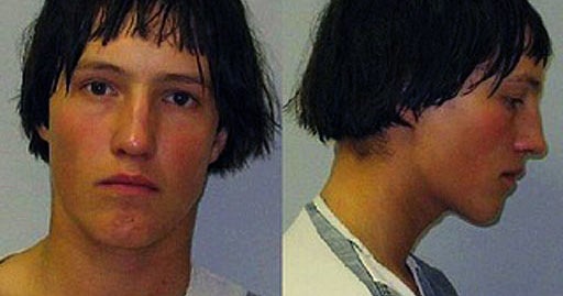 Amish Teen Led Cops on Horse and Buggy Chase, Say Police - CBS News