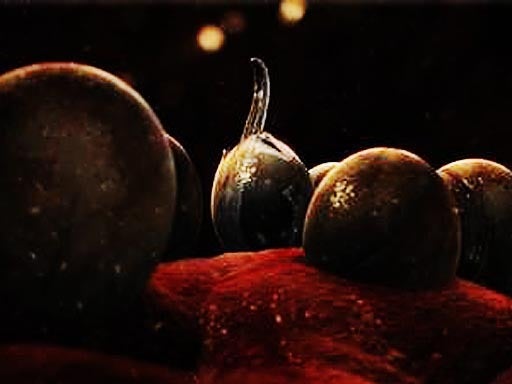 10 Most Terrifying Parasites Ever