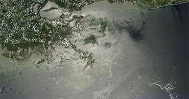 New Research Shows Gulf Oil Plume Not Going Away - CBS News