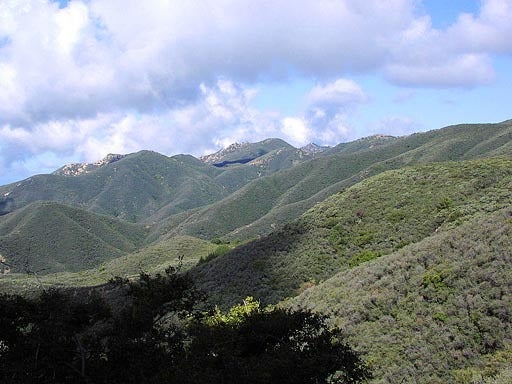 12 Dangerous Supplements