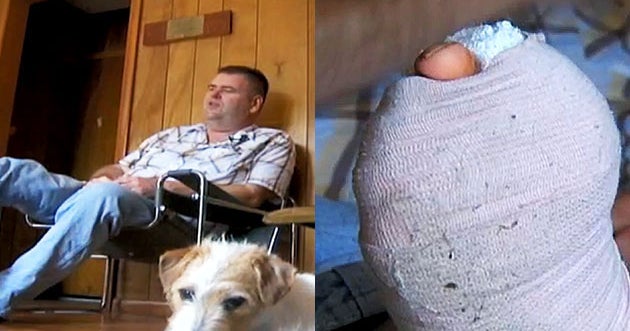 Dog Saves Man's Life: Did Toe-Chewing Terrier Sniff Owner's Diabetes ...
